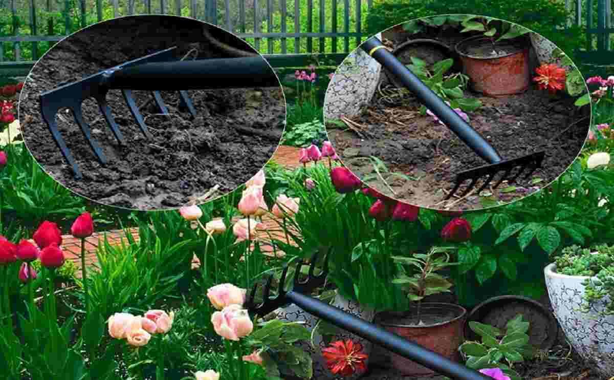 Hand rake garden tool plastic handle tool fork hoe