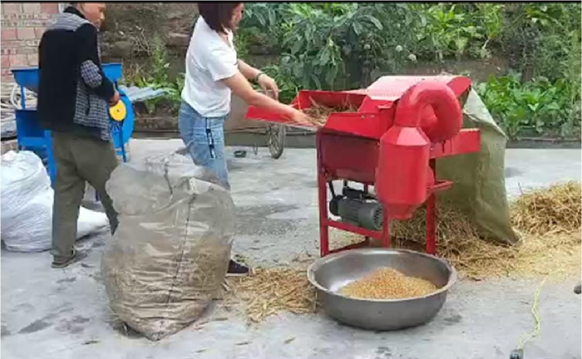 Paddy thresher machine 3 HP electrical motor removal of grains