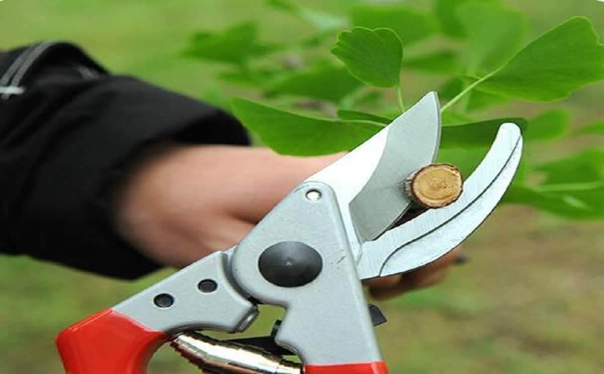 Pruning shear cutter with alloy steel blade gardening tool