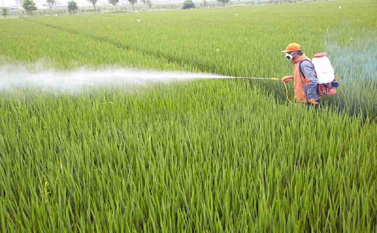 Honda Power Sprayer for Agriculture, Gardens, and Commercial Spray ...